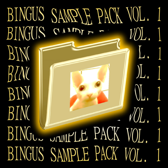 BINGUS SAMPLE PACK VOL. 1 | bingus collective