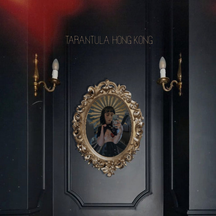 Araña DIgital | Tarantula Hong Kong