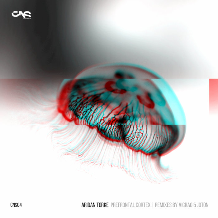 Prefrontal_Cortex EP | ARIDAN TORKE + JOTON & AICRAG Rmxs | Cronopolis ...