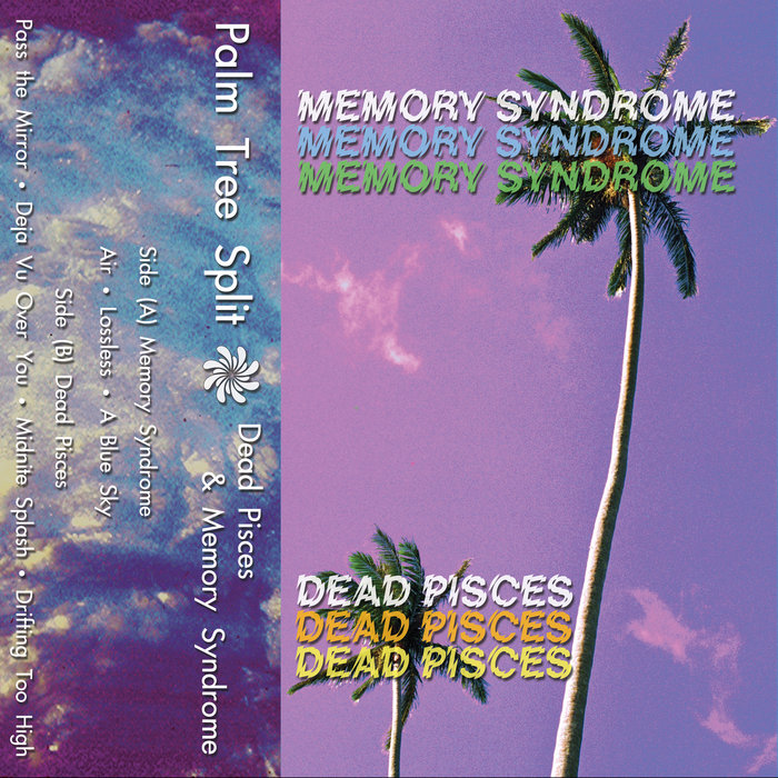 Palm Tree Split | Dead Pisces & Memory Syndrome | Memory Syndrome
