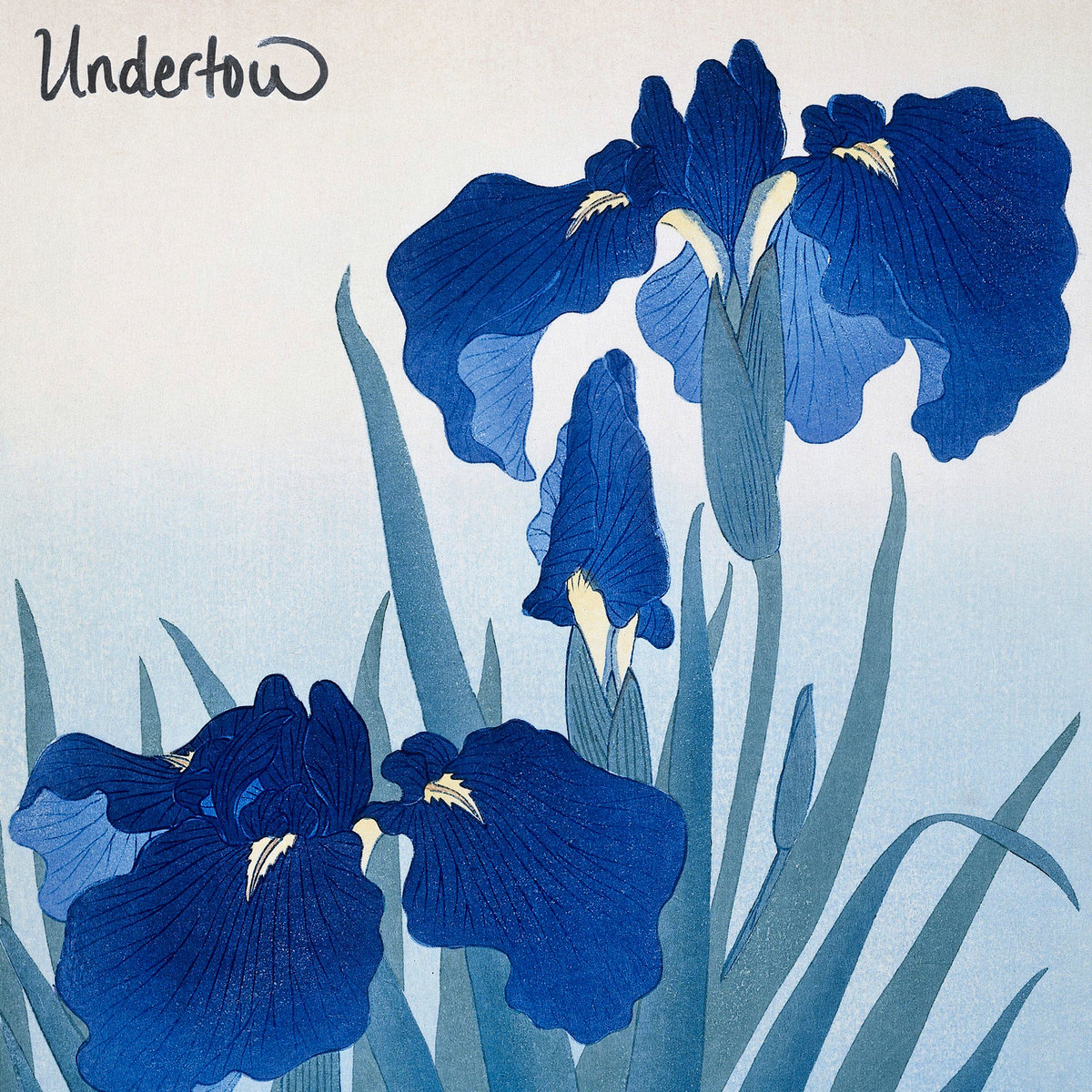 Undertow | Sage Avalon