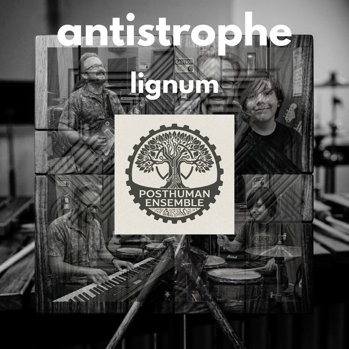 antistrophe (lignum) | Posthuman Ensemble