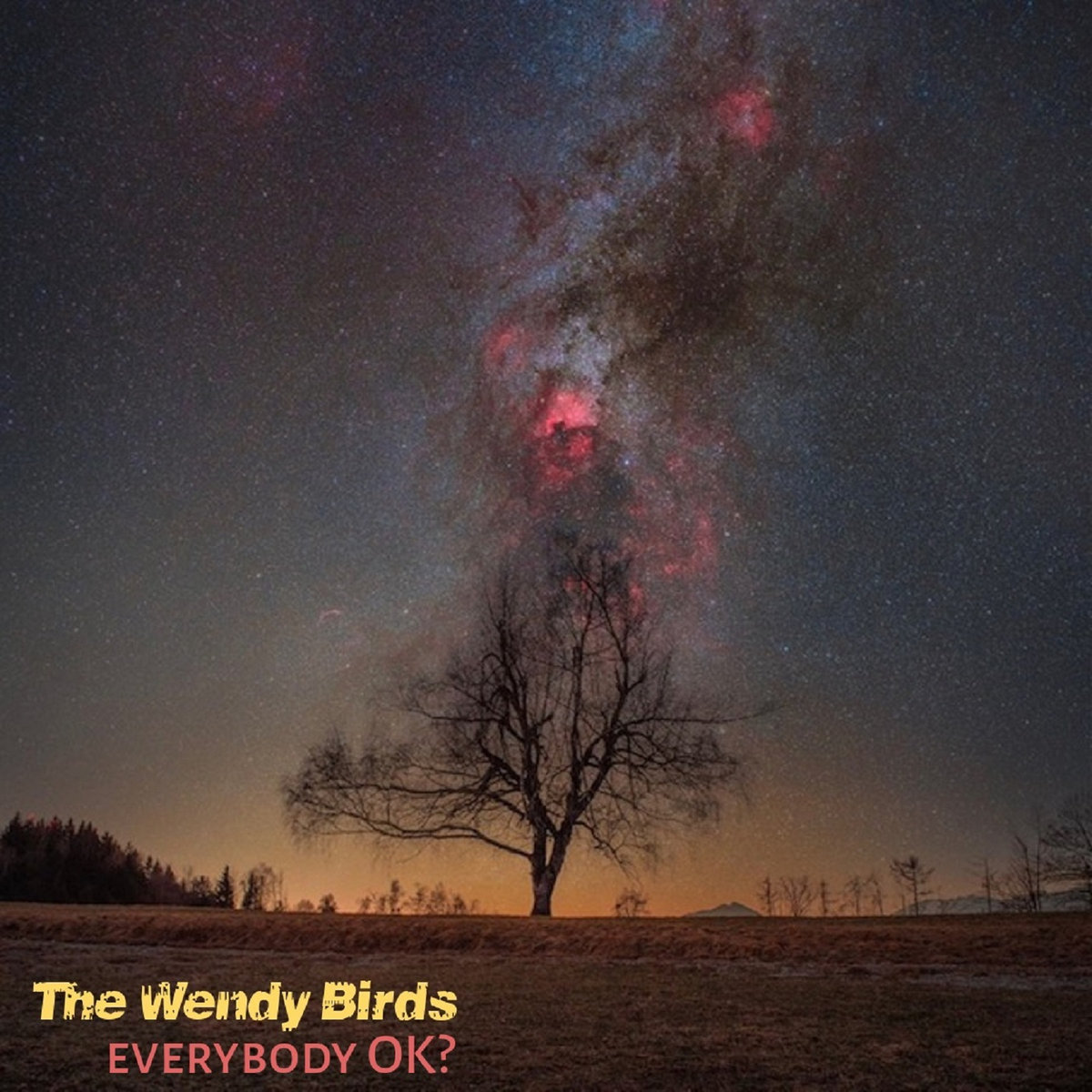 Everybody OK? | The Wendy Birds | Bittersweet Machines