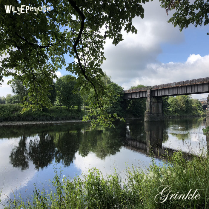 Grinkle | Wily_E_Peyote