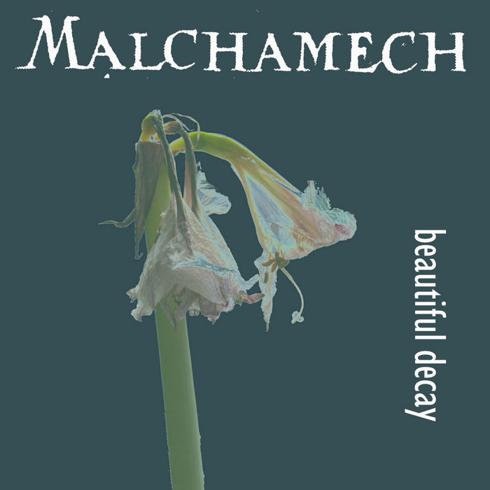 beautiful decay | Malchamech | phil hargreaves