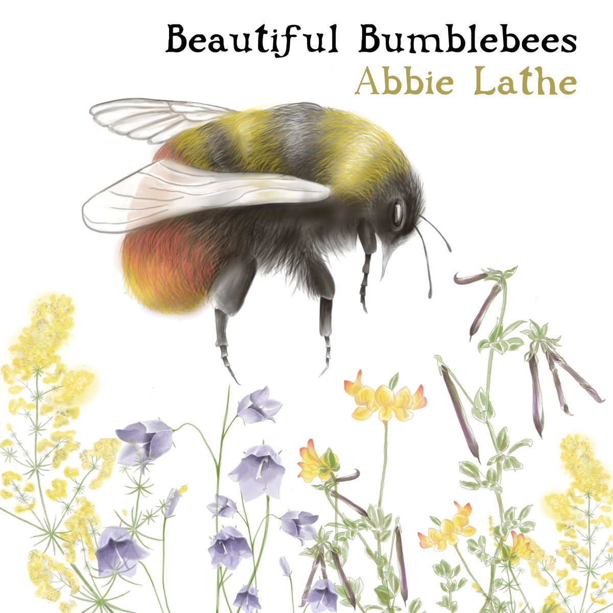 Beautiful Bumblebees | Abbie Lathe and This Little Tractor | Abbie Lathe