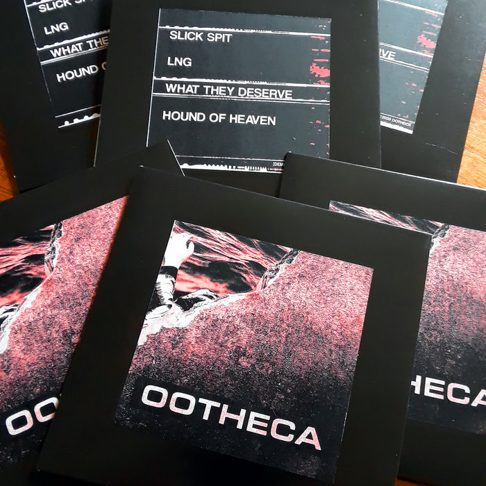 OOTHECA demo 2 | OOTHECA