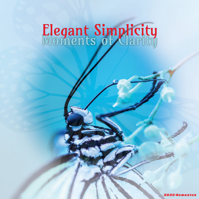 Moments of Clarity | Elegant Simplicity