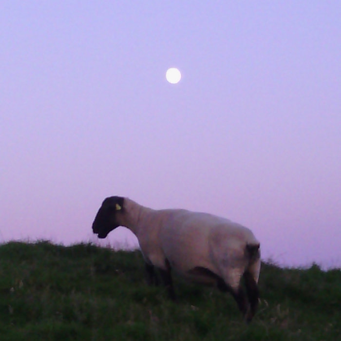 Fake split that never happened | Ghost Friend Records