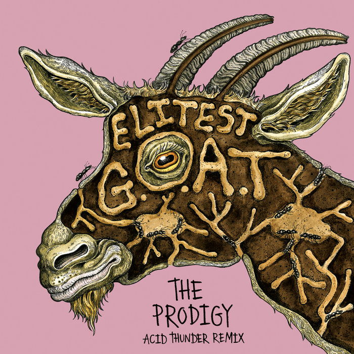 Elitest G.O.A.T. (The Prodigy Acid Thunder Mix) | Sleaford Mods & The ...