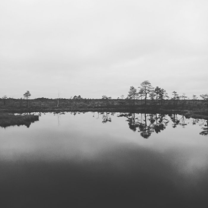 November 2022 | Kate Kato