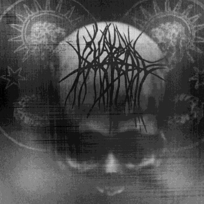 The Cull | Shadow Doctrine