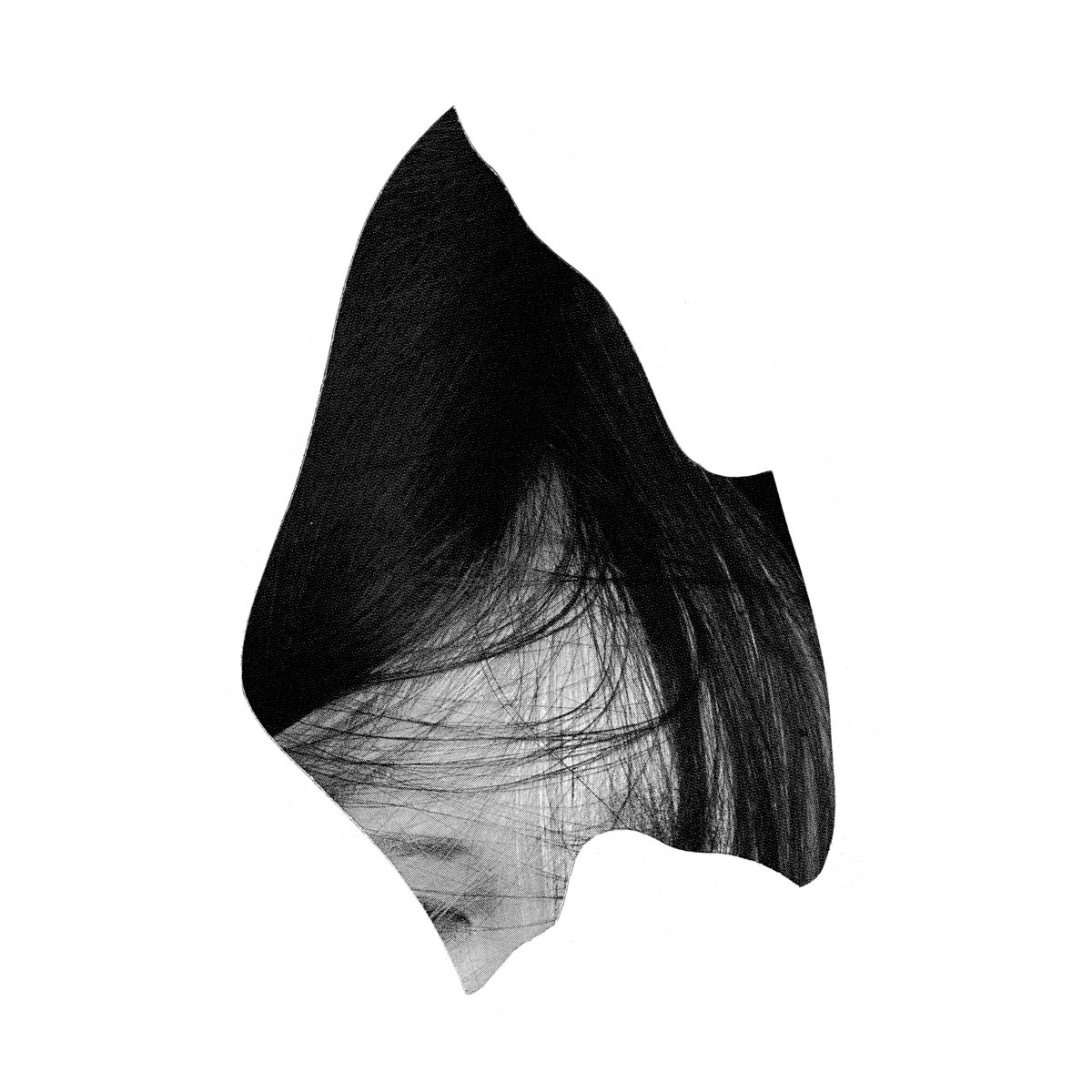 Looking at a Face | Trever Hagen, James Buckley, Brandon Wozniak, Dean ...