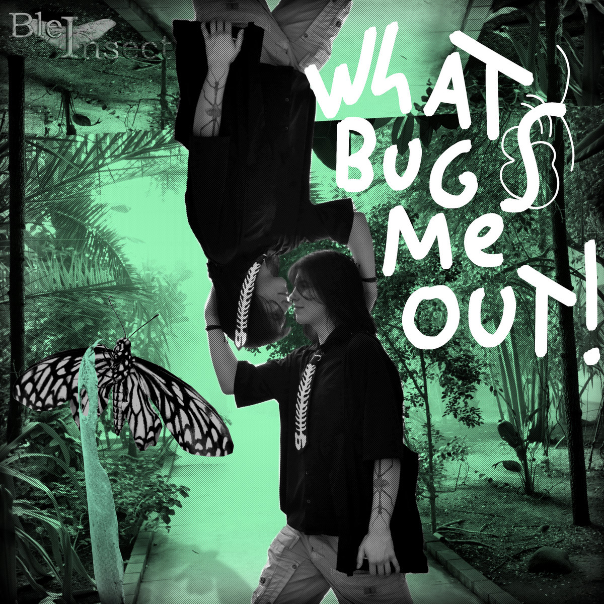 What Bugs Me Out! | BleInsect