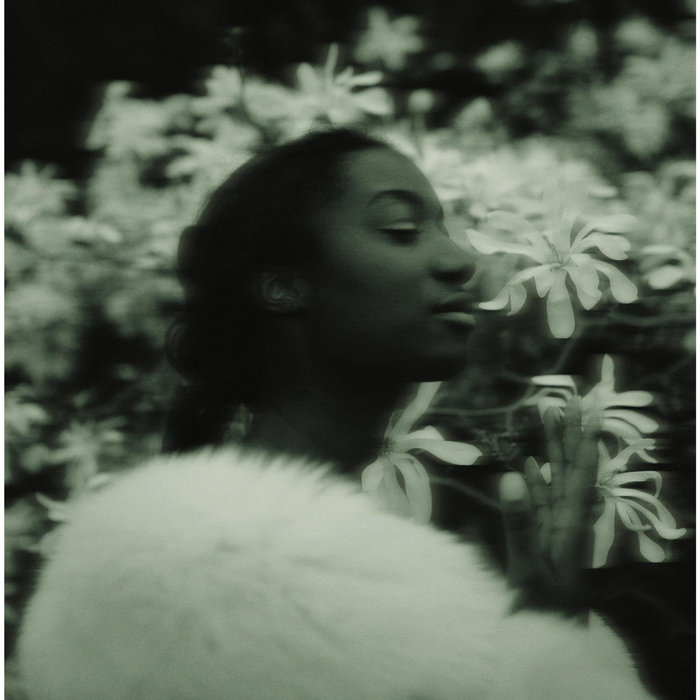 Moving Hearts | Sprinklestar25