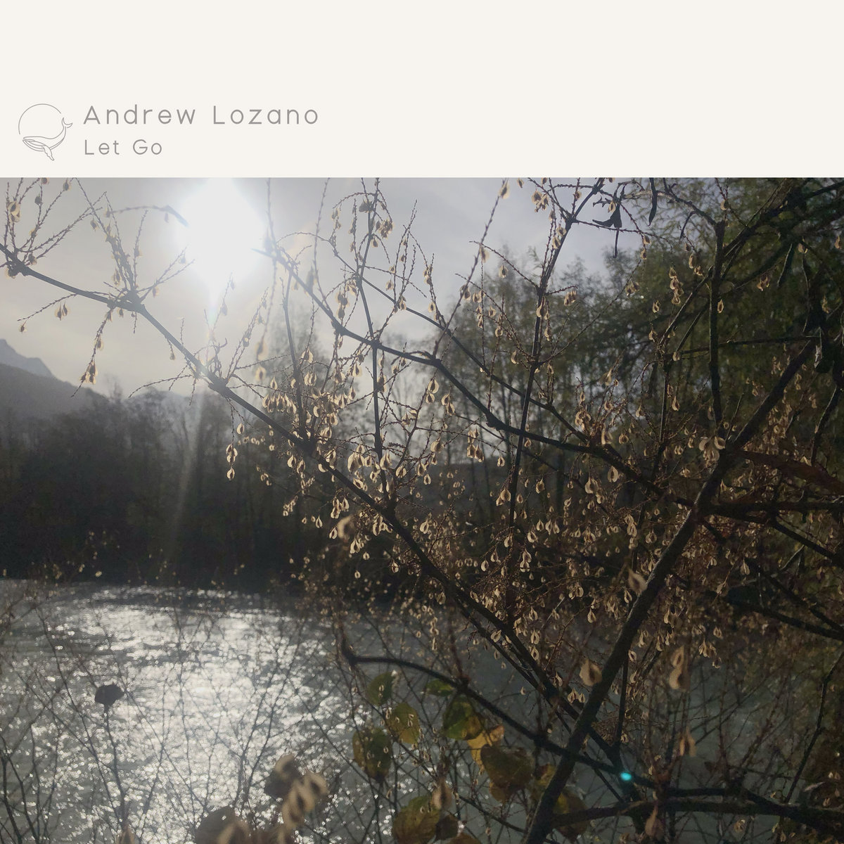 Let Go | Andrew Lozano | Mare Nostrum Label