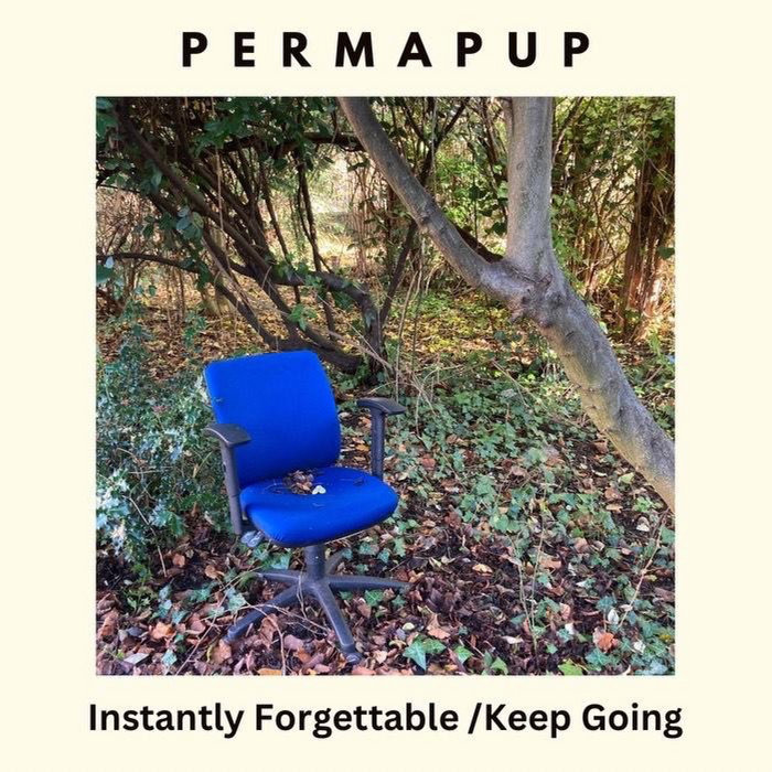 Instantly Forgettable / Keep Going | Permapup