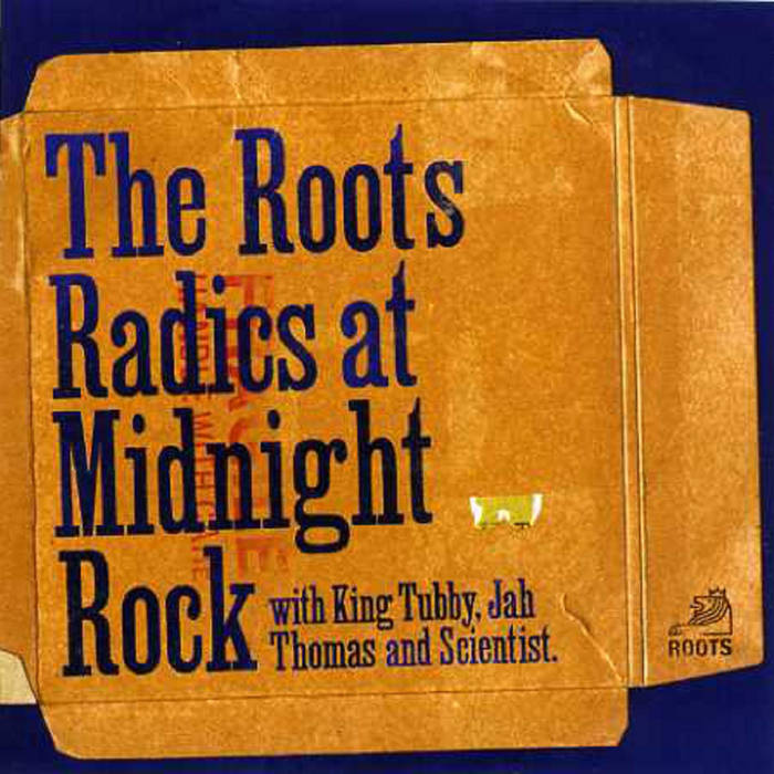 29. The Roots Radics At Midnight Rock | Roots Radics