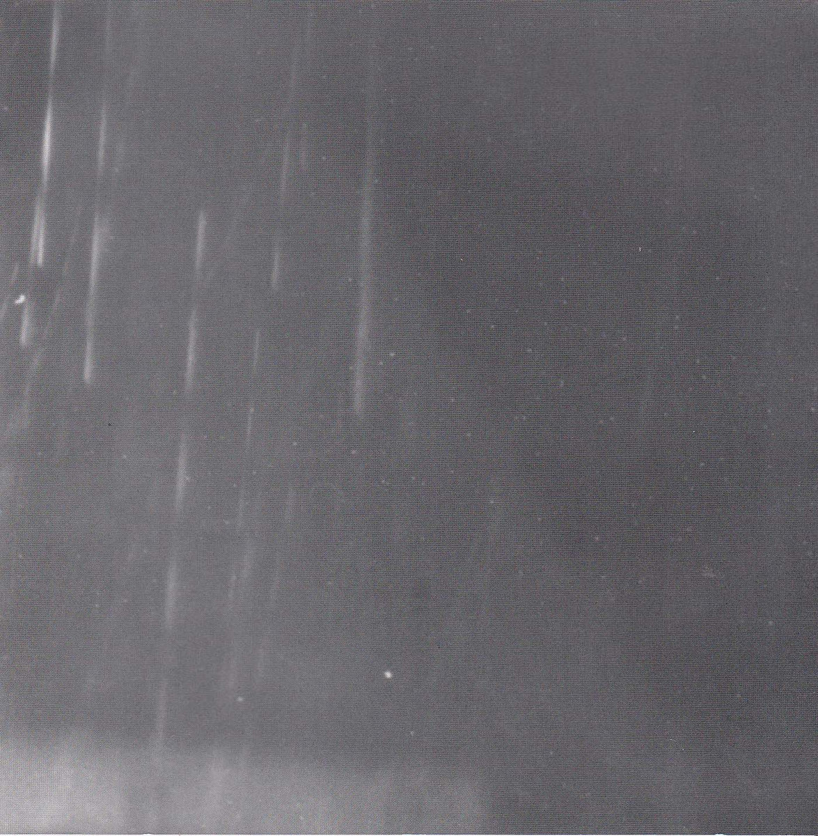 Where Is The Green Parrot? | Peter Cusack