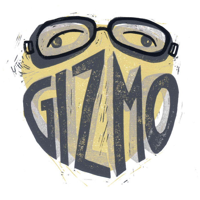 Gizmo | Gizmo On a Plane
