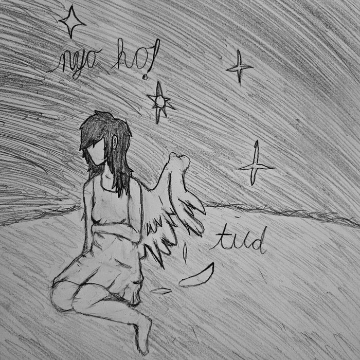 Split with nyo ho! | Tud