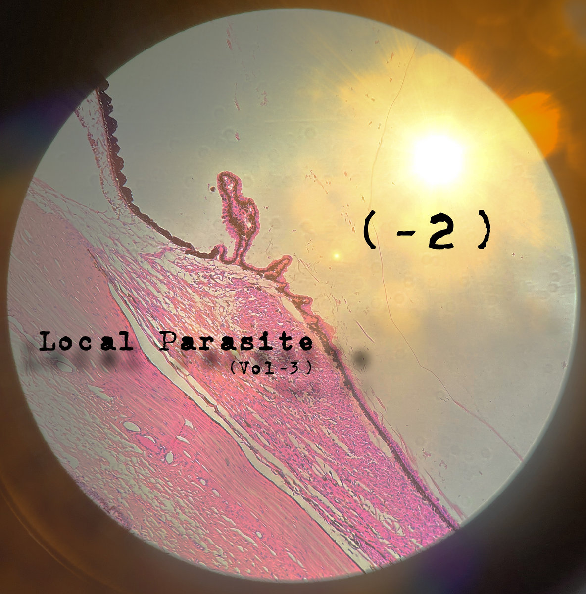 Local Parasite Vol. 3 | ( -2 ) | Muteant Sounds (net label)