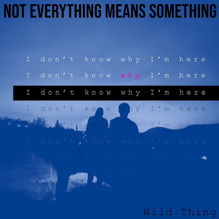 Not Everything Means Something | Wild Thing