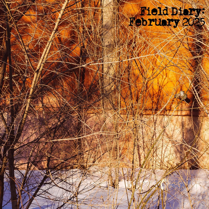 Field Diary: February 2025 | applecore