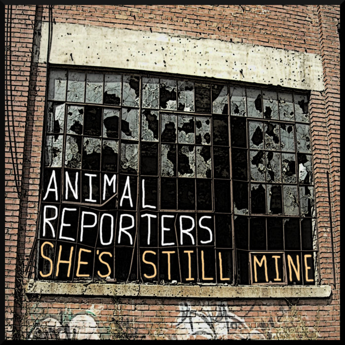 She's Still Mine - Single | Animal Reporters