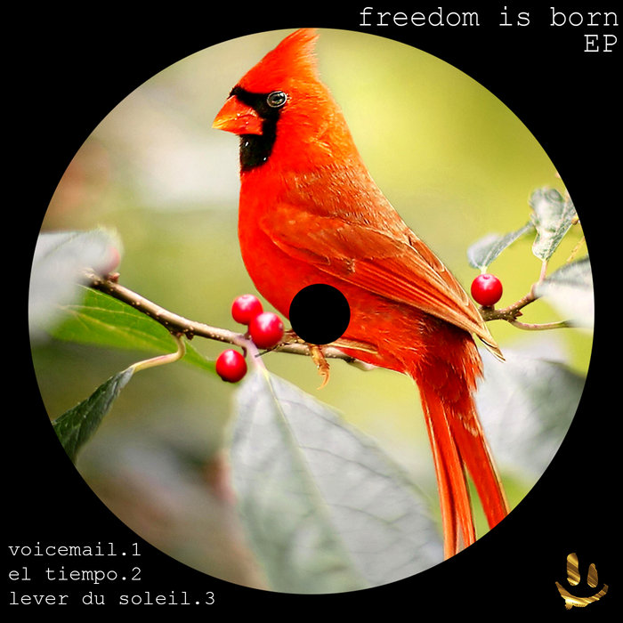 freedom is born |EP| | csa & savinescwho? | savinescwho?
