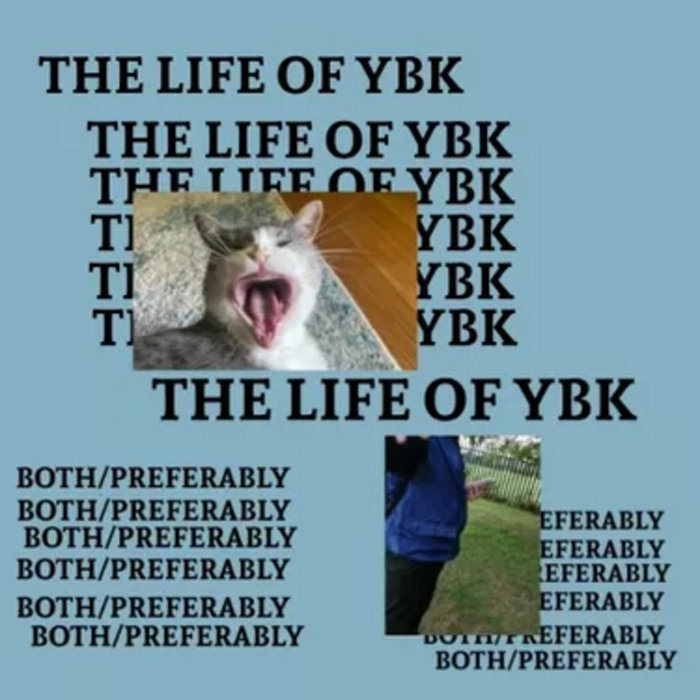 The Life of YBK | Yung Blud Kripz | Dogshitt Records