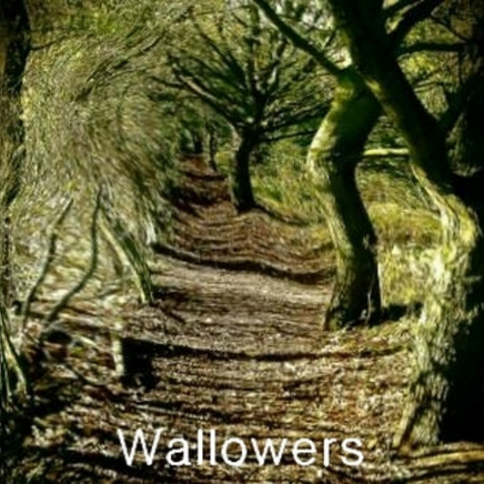 Wallowers EP | Wallowers
