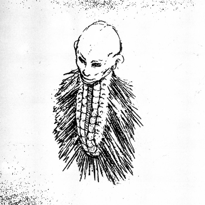 Echoes04 | Muskatt