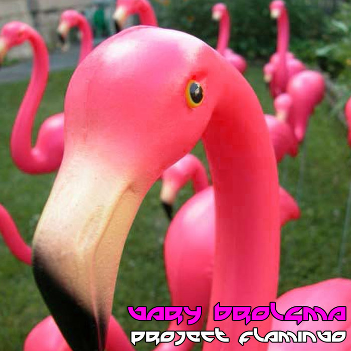 Project Flamingo | Gary Brolsma