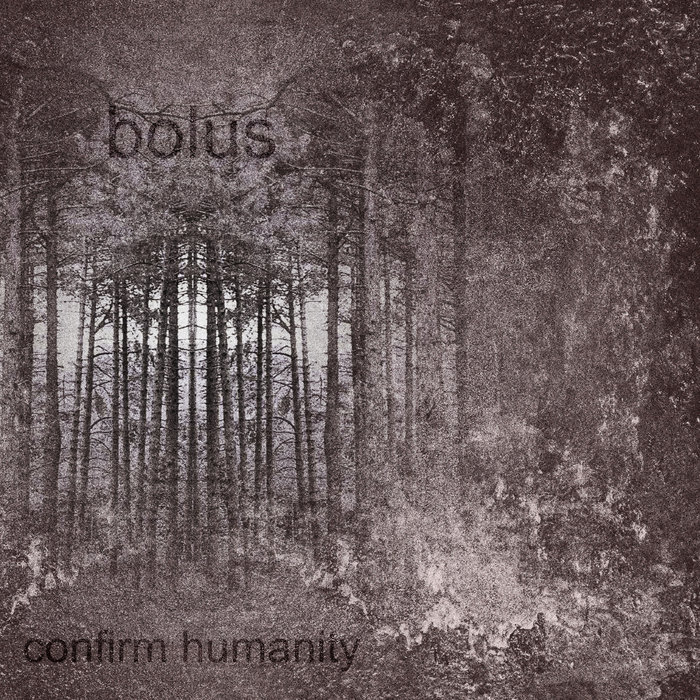 Confirm Humanity | Bolus