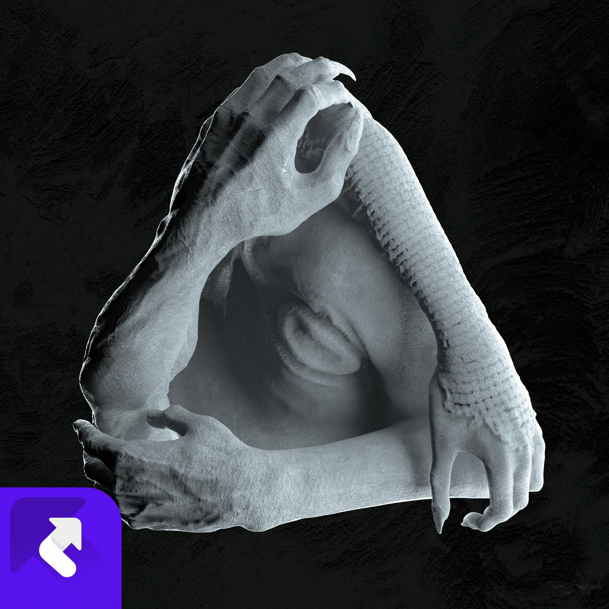 SeeMaTag | 泰格西 | Showstart-release