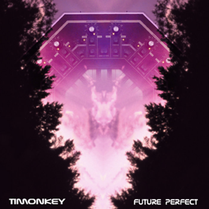 Future Perfect | Timonkey