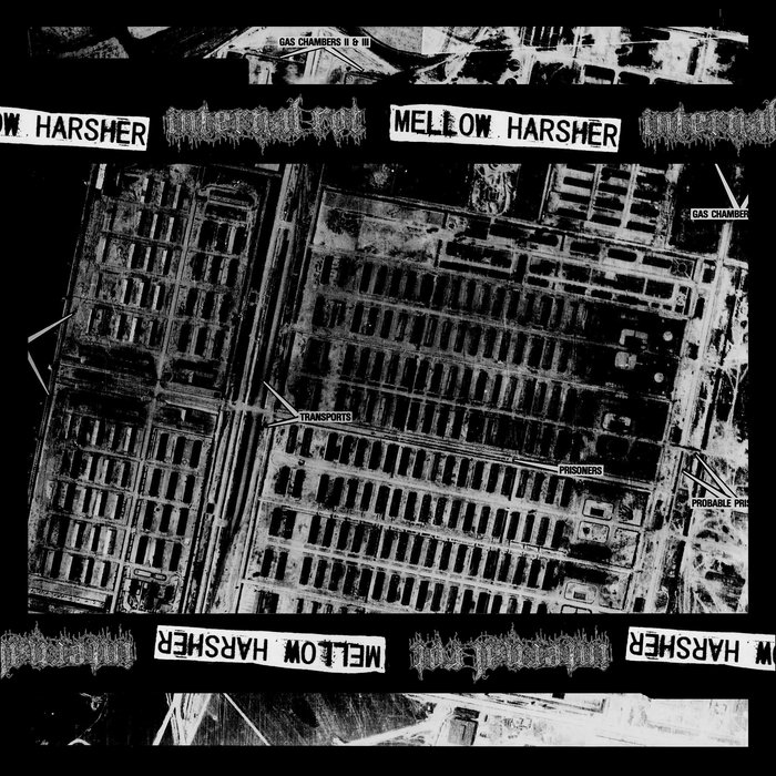 INTERNAL ROT SPLIT 7" | MELLOW HARSHER | mellow harsher