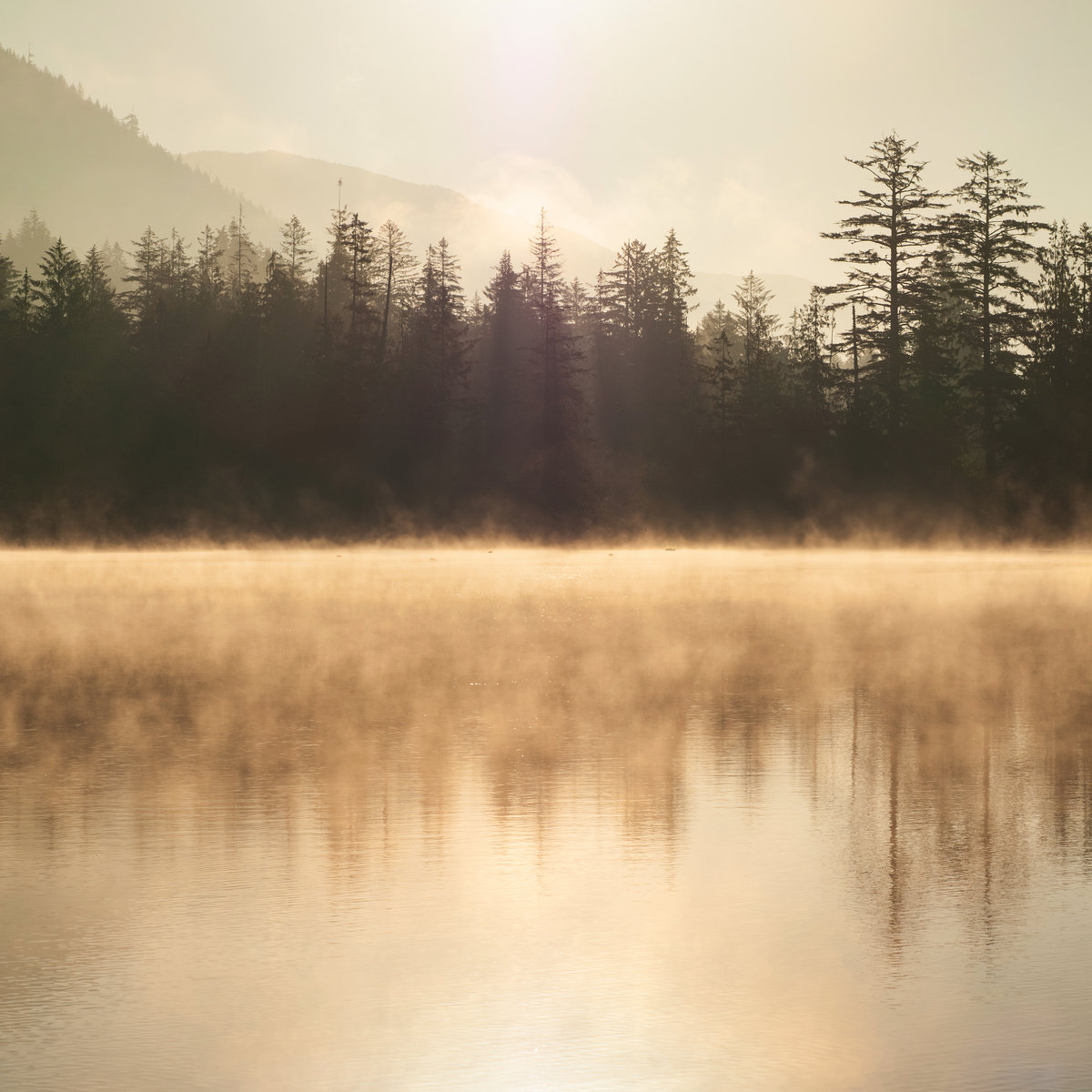 Deep Ground [Reissue] | Purl