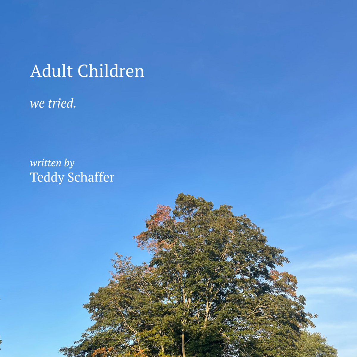 Adult Children - Original Songs | Teddy Schaffer | Adult Children