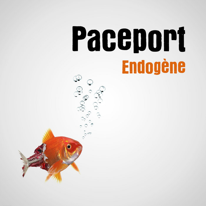 Endogène | Paceport | paceport