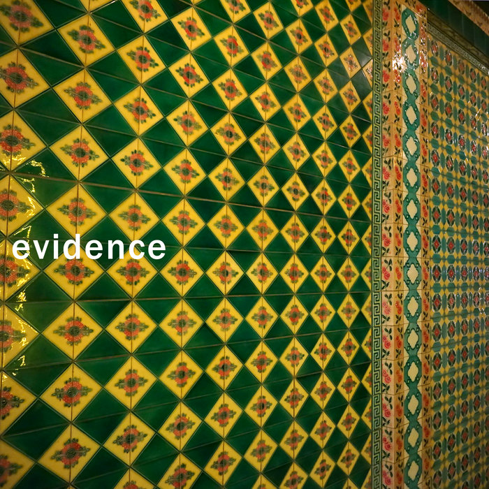 evidence | HIRO GOTO