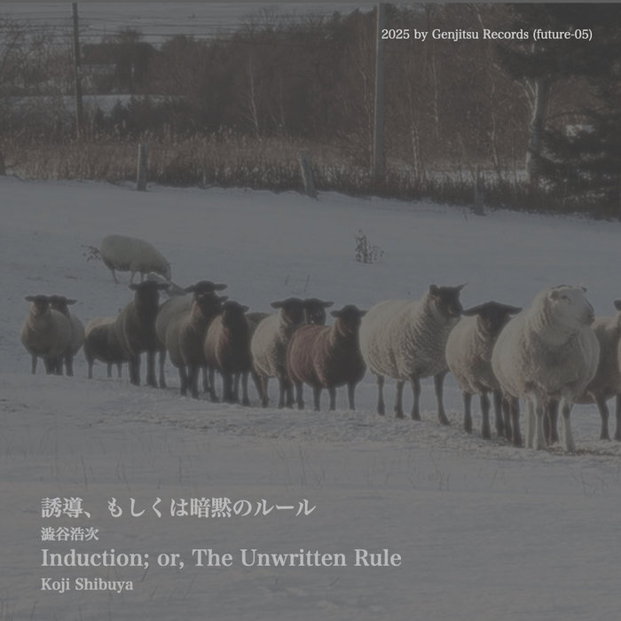 誘導、もしくは暗黙のルール Induction; or, The Unwritten Rule (1990) | 澁谷浩次 Koji ...