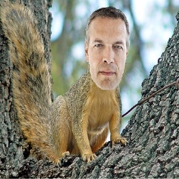 Up Alpha Squirrel