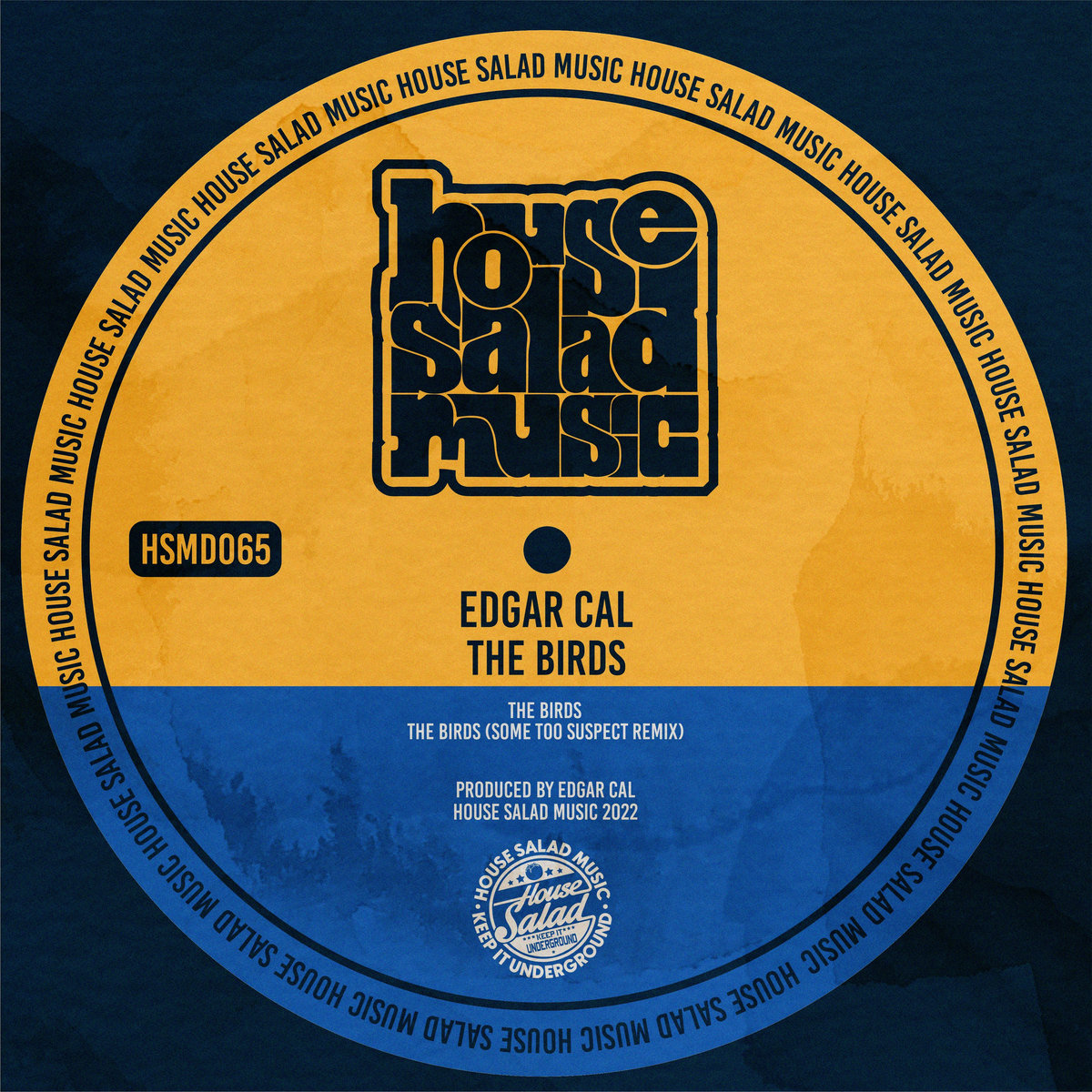 The Birds | Edgar Cal | House Salad Music