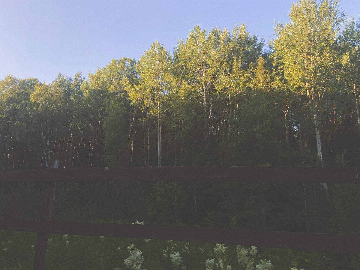 hidden backyards and old friends | lurp sheets