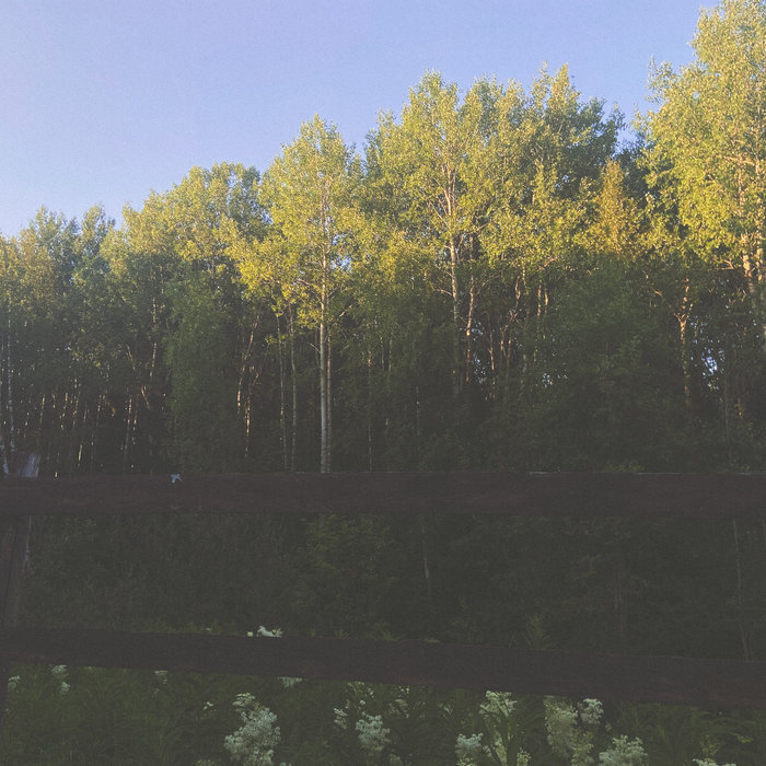 hidden backyards and old friends | lurp sheets