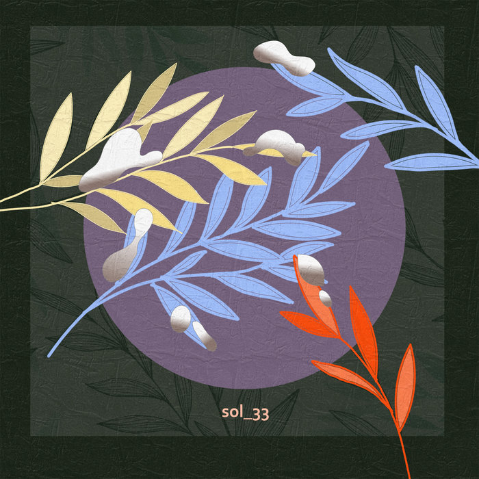 sol_33 | Sol_ | sol_