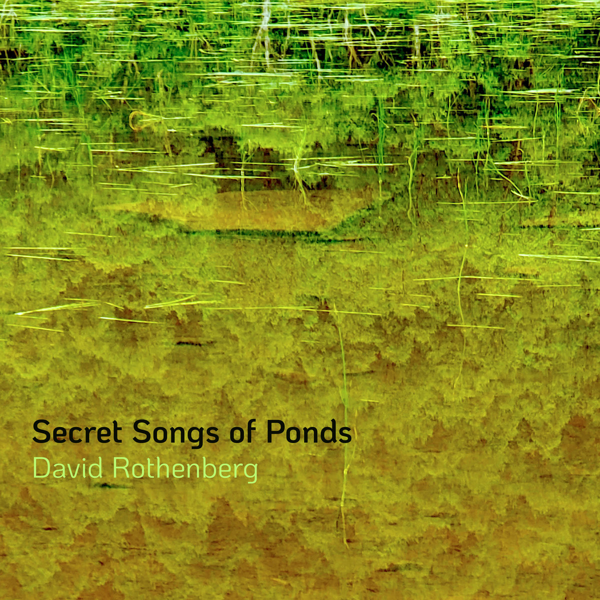 Secret Songs of Ponds | David Rothenberg | Terra Nova Music