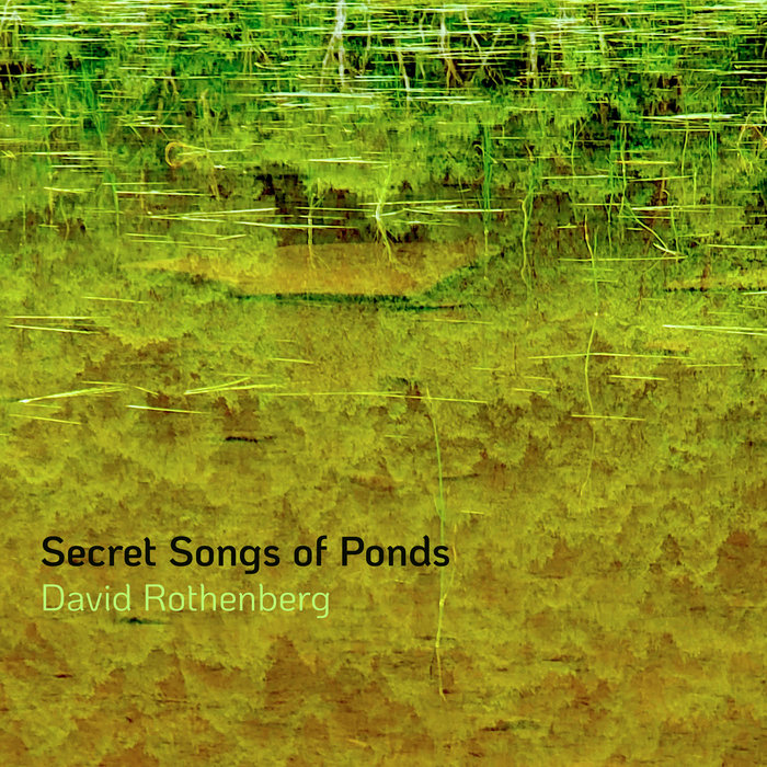 Secret Songs of Ponds | David Rothenberg | Terra Nova Music